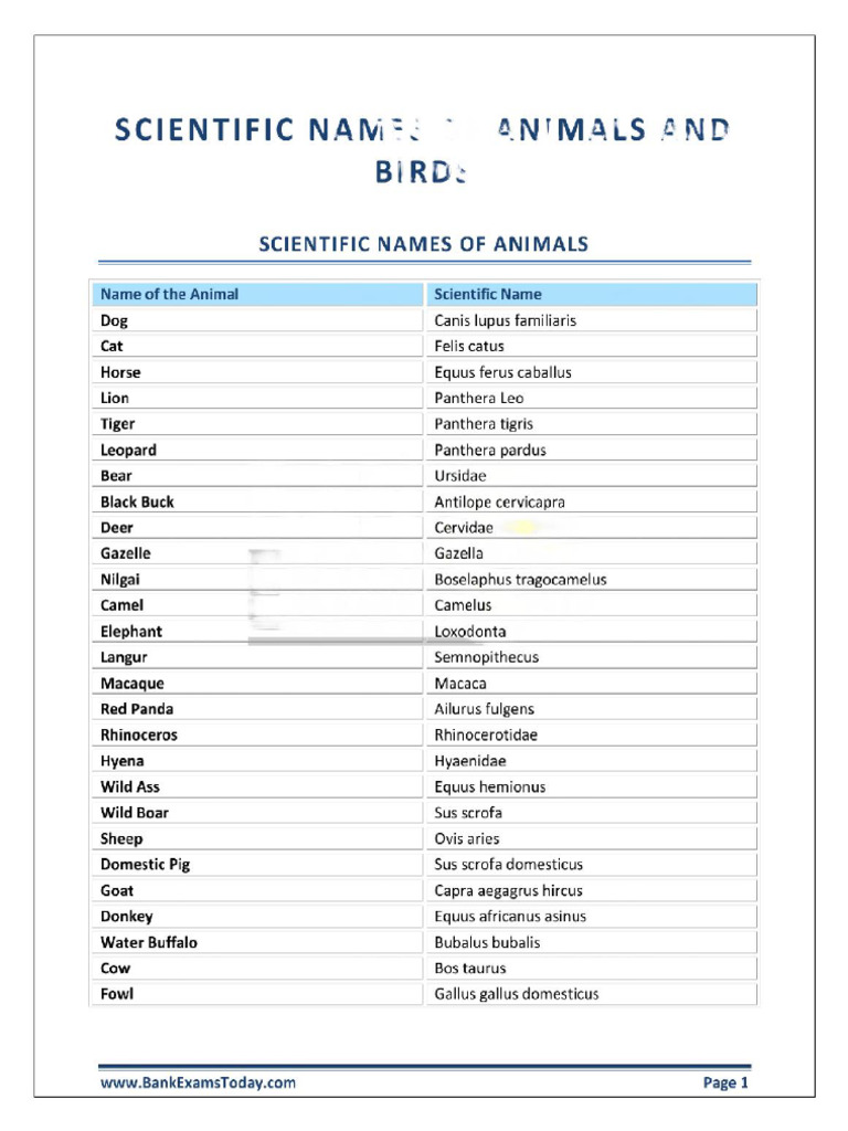 Scientific Names Animals Birds | PDF
