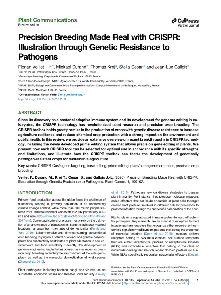 Precision Breeding Made Real With CRISPR Illustra | PDF | Crispr | Mutation