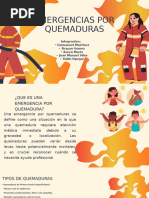 Quemaduras Faciales y Signos de Flogosis | PDF | Quemar | Inflamación