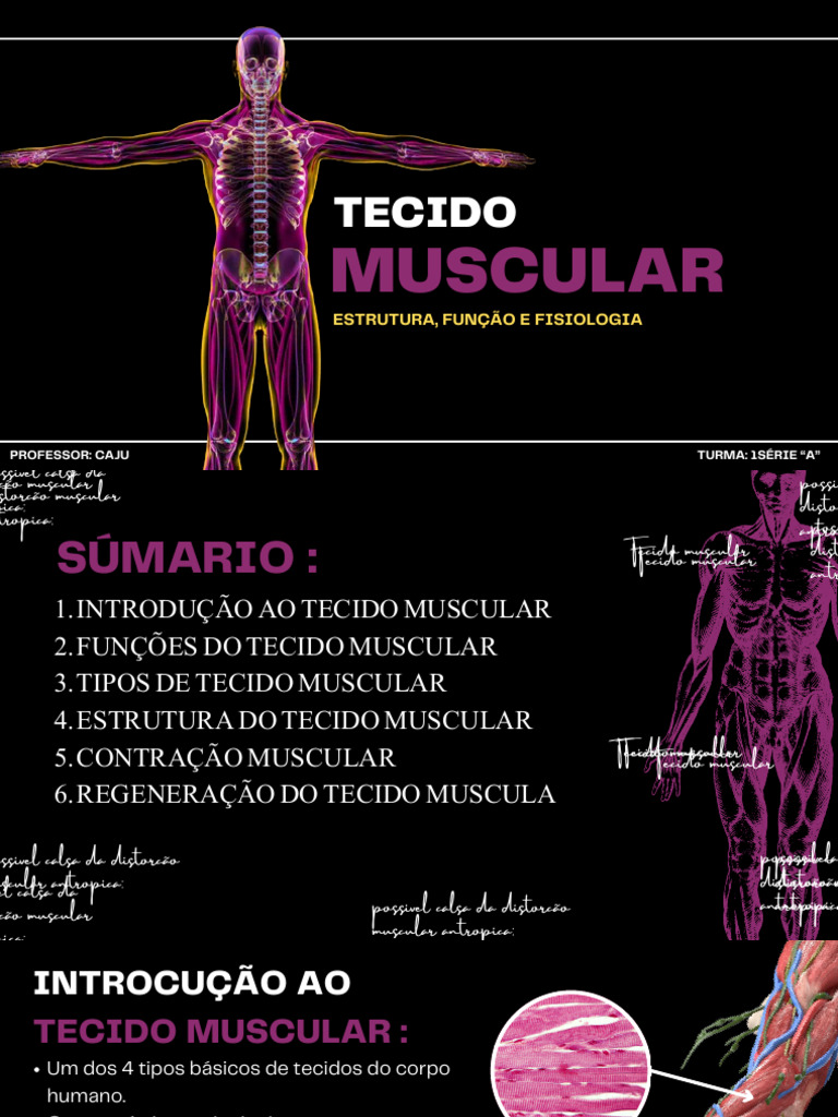 The Human Body Science Presentation in White Blue Informative ...