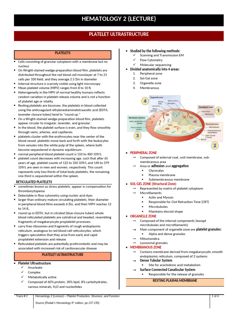 Hematology - Platelet Ultrastructure | PDF | Platelet | Phospholipid