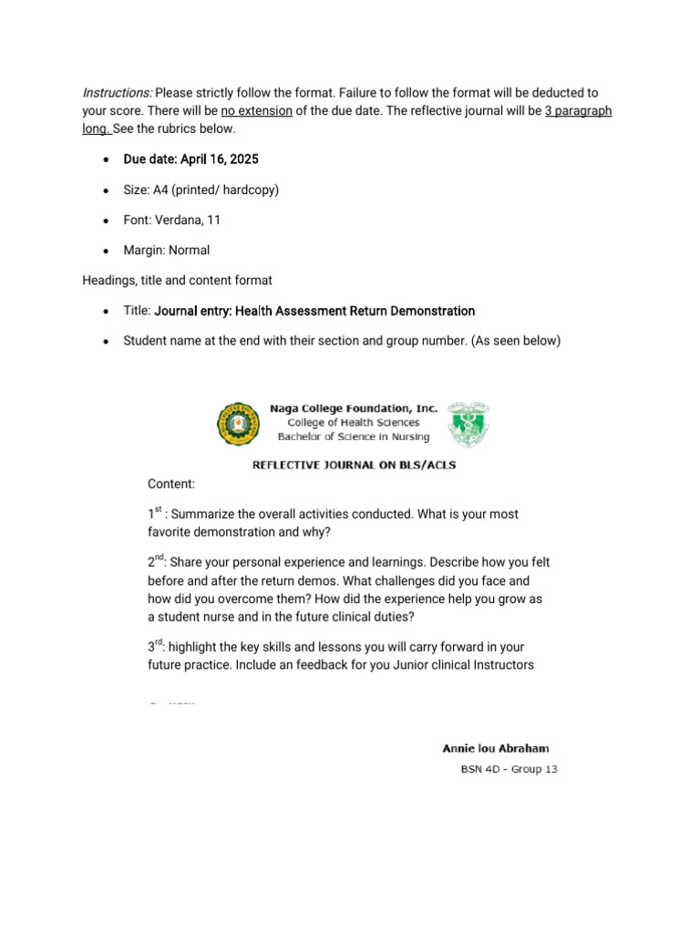 Reflective Journal Instructions With Rubrics | PDF