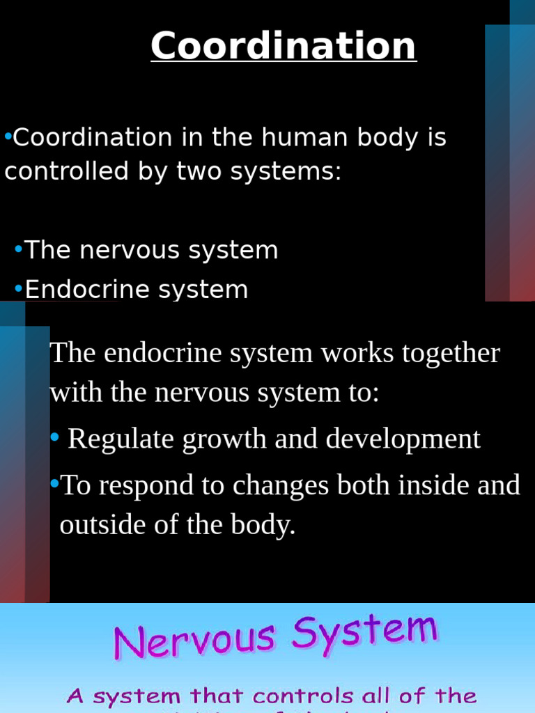 Coordination and Nervous System | PDF | Nervous System | Central ...