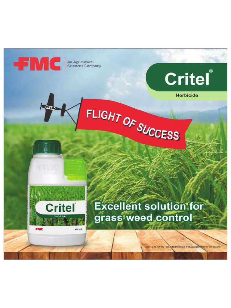 Critel® English | PDF
