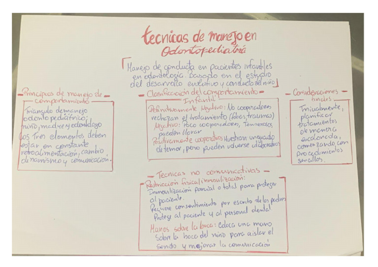 Tarea 1 Mapa Conceptual | PDF