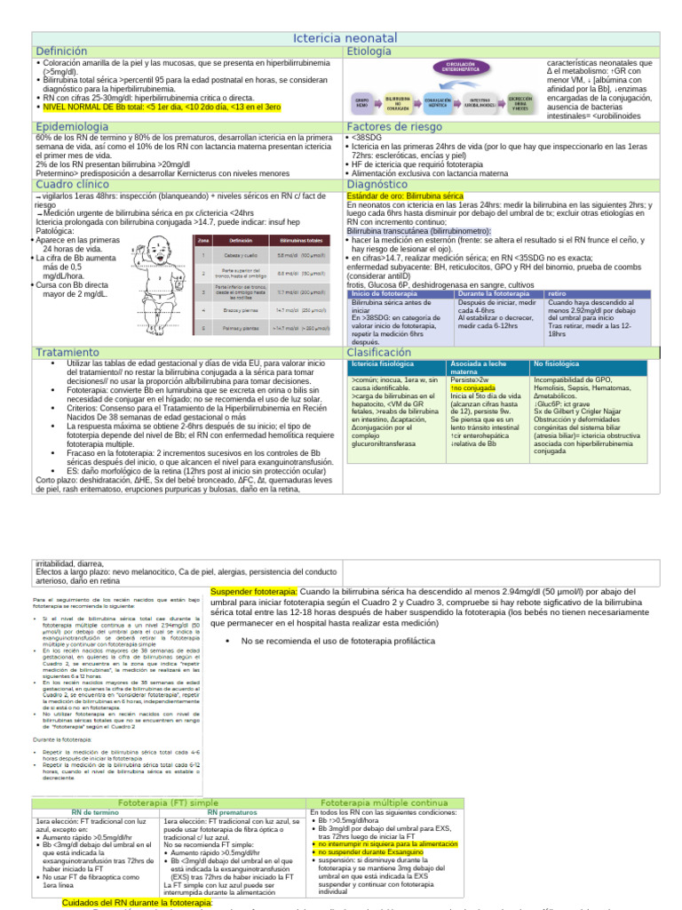 Ictericia Neonatal | PDF | Especialidades Medicas | Enfermedades y trastornos