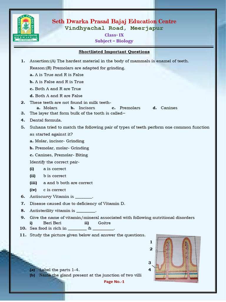 Class 9 Biology 50 Imp Ques | PDF | Tooth