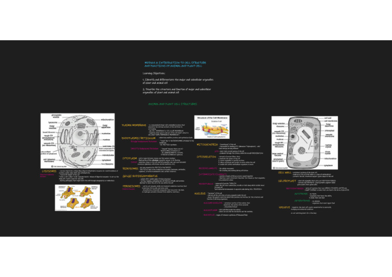 STM-007-Module-4 | PDF