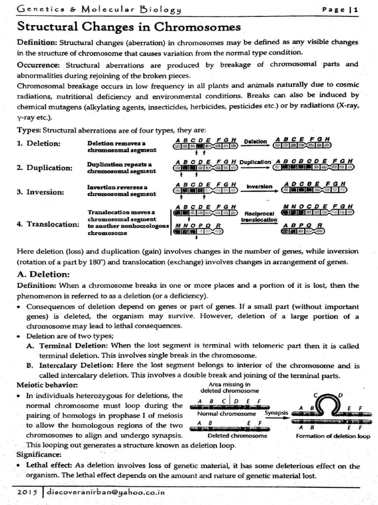 Structural Changes in Chromosomes | PDF | Meiosis | Gene Duplication