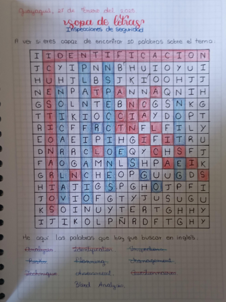 Sopa de Letras Seguridad | PDF