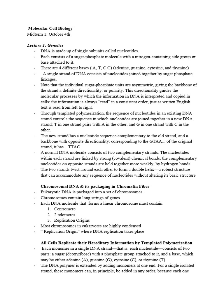 Molecular Cell Biology PDF | PDF | Gene | Dna