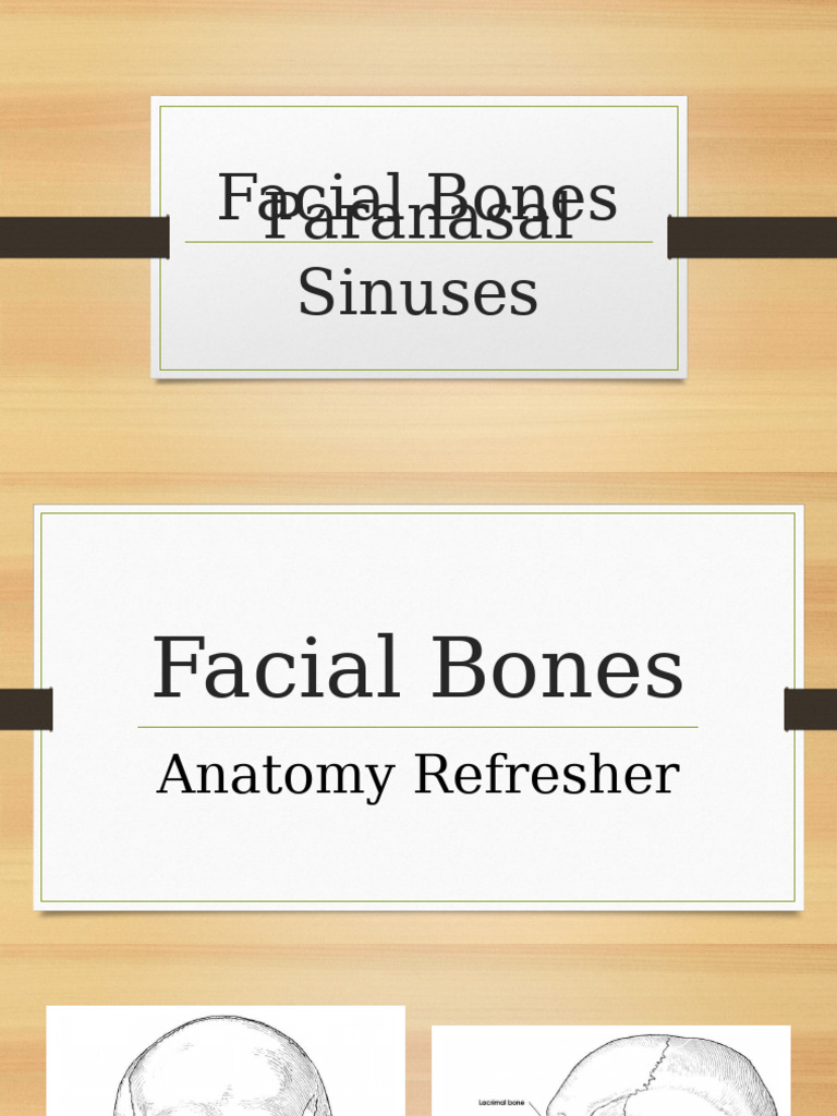 Facial Bones Sinuses | PDF | Human Nose | Skull