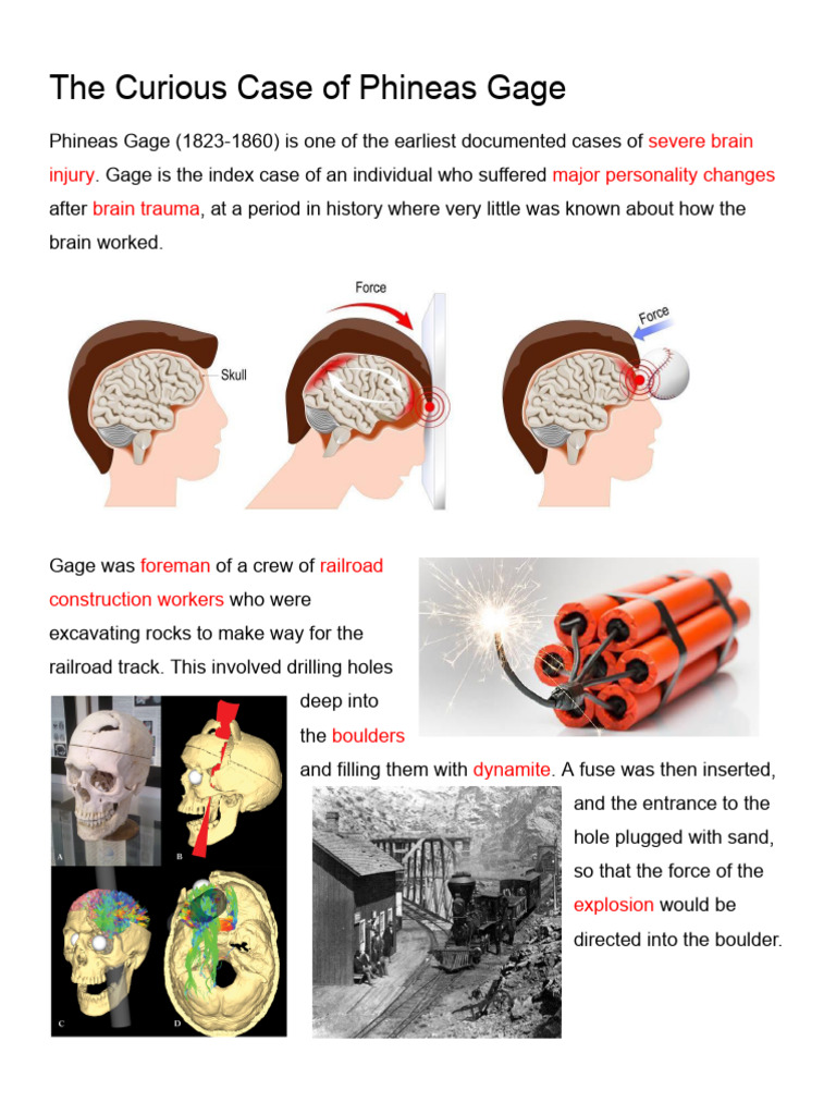 The Curious Case of Phineas Gage | PDF | Neuroscience | Nervous System