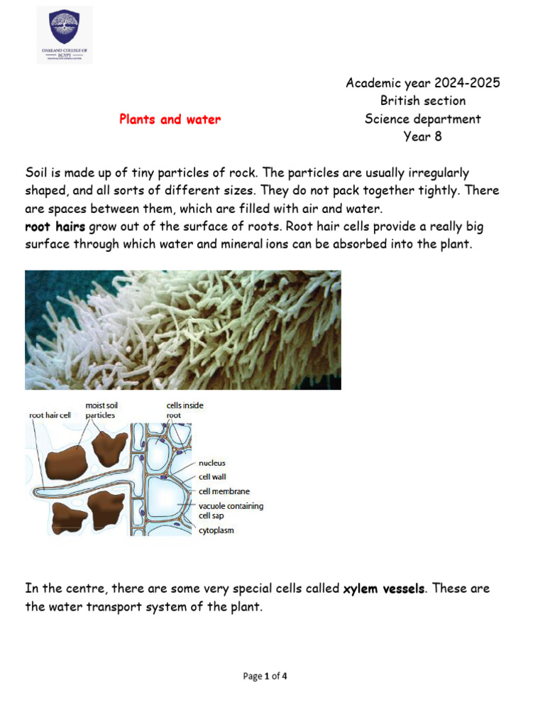 Plant Water Transport and Transpiration | PDF | Root | Leaf