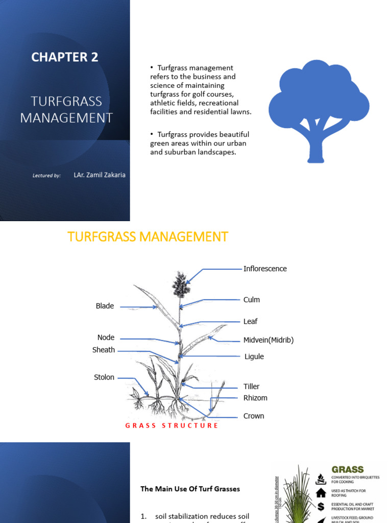 Chapter 2 - TURFGRASS MANAGEMENT | PDF | Sod | Lawn