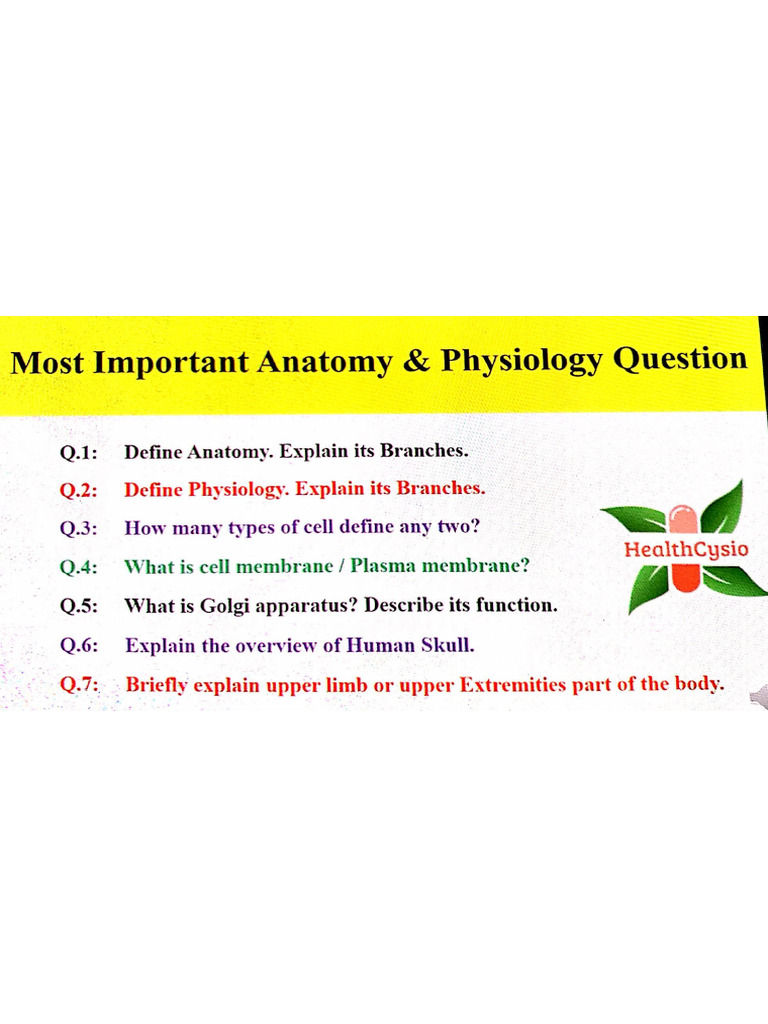 B Category Imp Questions 1st Year | PDF