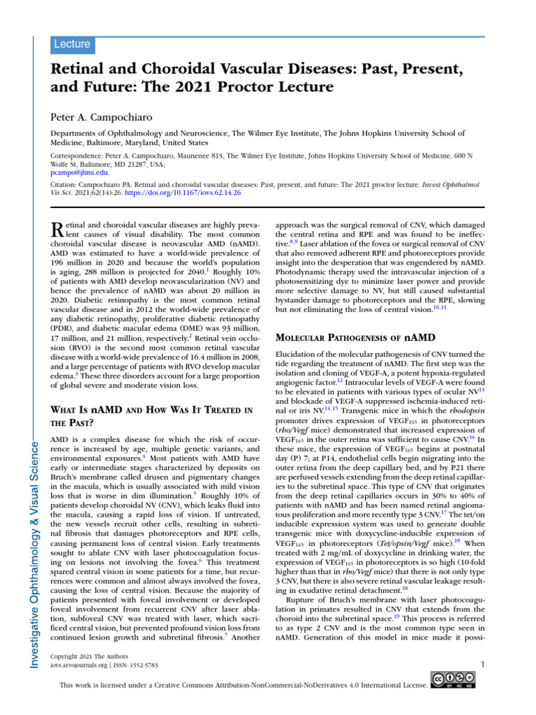 Retinal and Choroidal Vascular Diseases Past Prese | PDF | Retina | Vascular Endothelial Growth ...