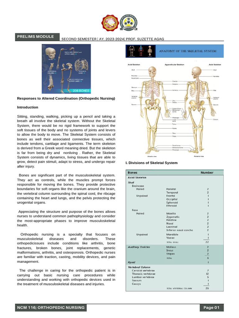 NCM 20116 20orthopedic 20nursing | PDF | Bone | Anatomical Terms Of Motion