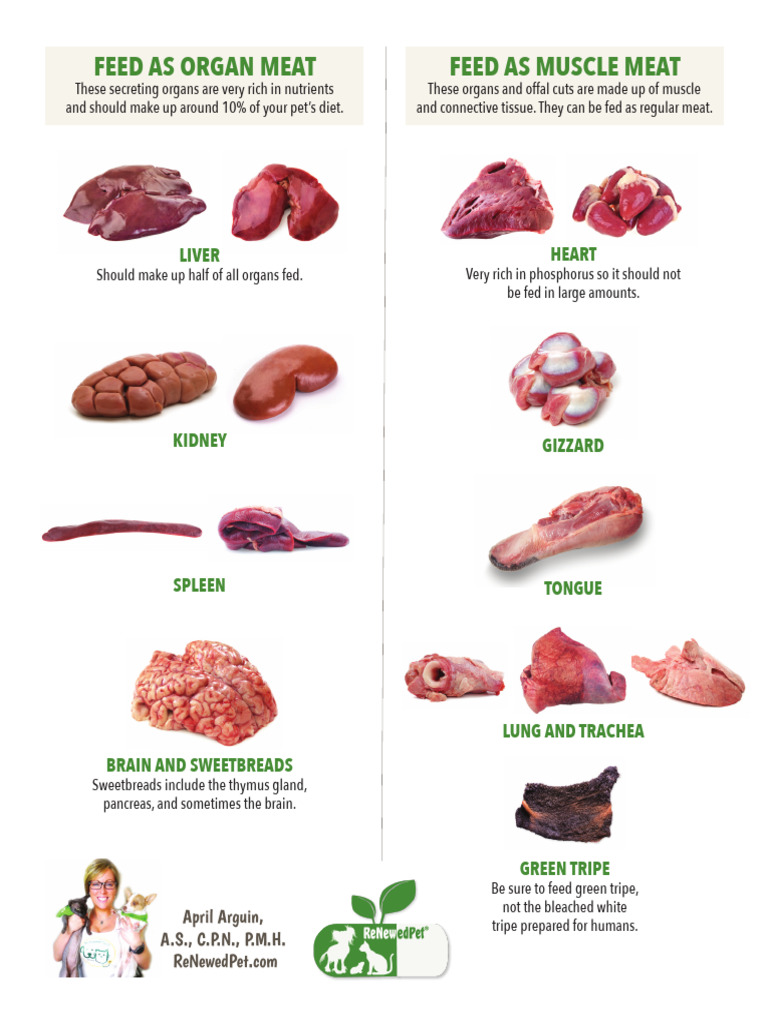 Organ Meats | PDF