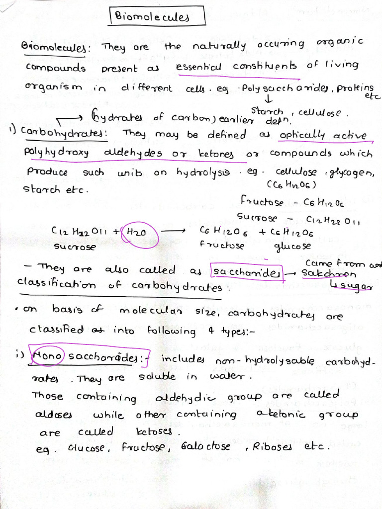 Biomolecules | PDF