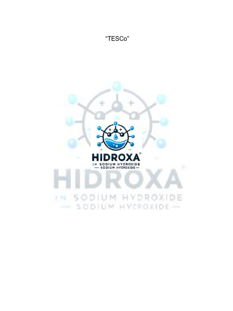 Filosofía empresarial HIDROXA | PDF | Sustentabilidad | Calidad (comercial)