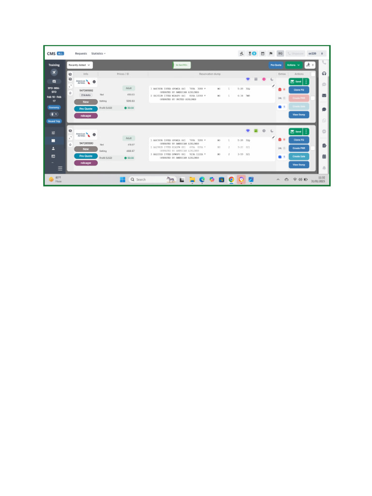 Flight Options - Google Docs | PDF