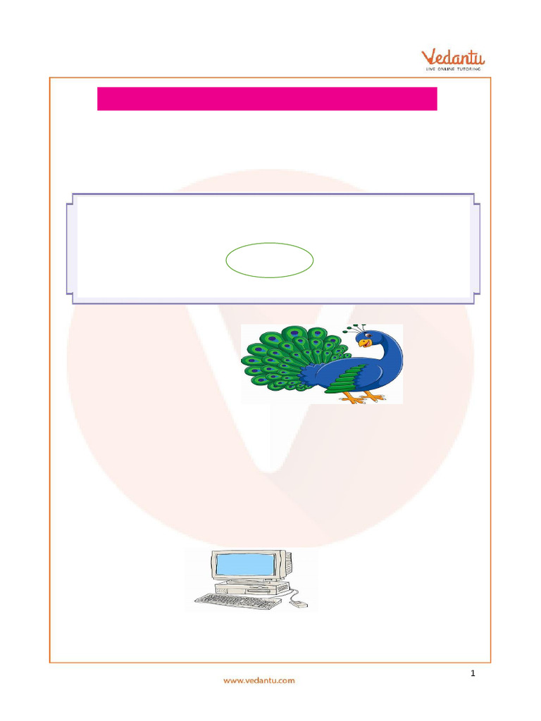 SOF IEO Sample Paper 2 For Class 1 (2024-25)- Free PDF Download | PDF