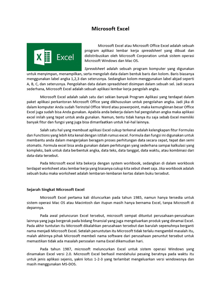 S1_INFORMATIKA_Pertemuan 9_Microsoft Excel_15-1-2025 | PDF