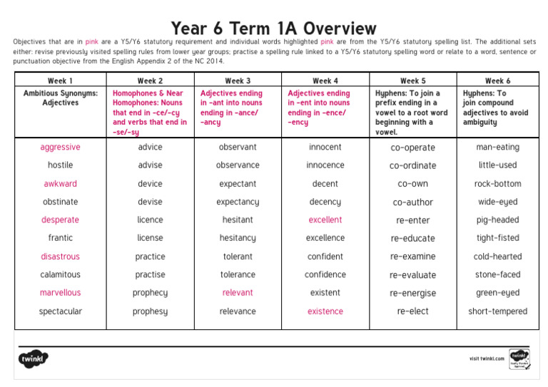 Year 6 Term 1A Overview | PDF | Syntax | Linguistic Morphology