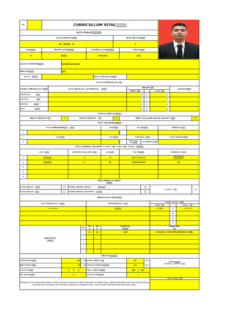 AGC New Format CV Revised | PDF