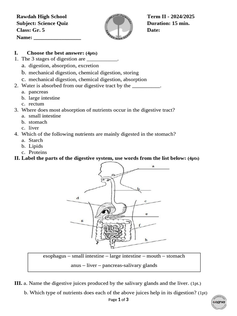 Quiz 5 Digestive | PDF