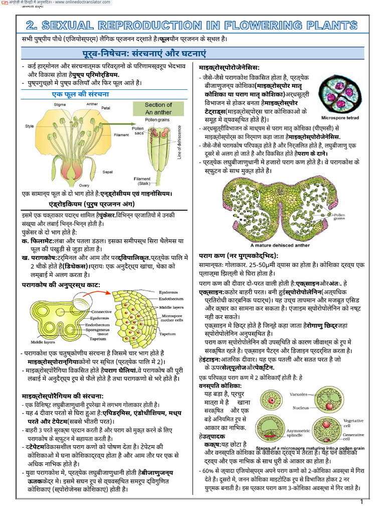 Sexual Reproduction in Flowering Plants Notes - En.hi | PDF