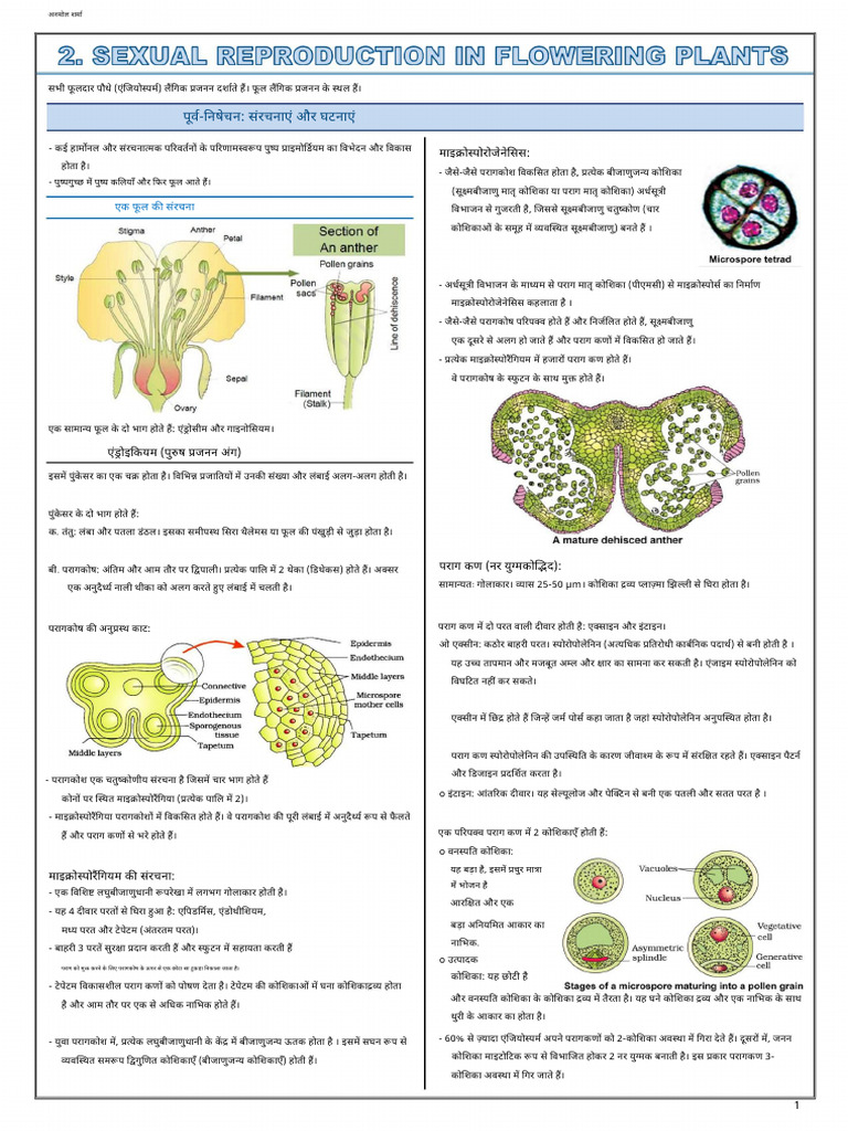 Sexual Reproduction in Flowering Plaes 1 | PDF