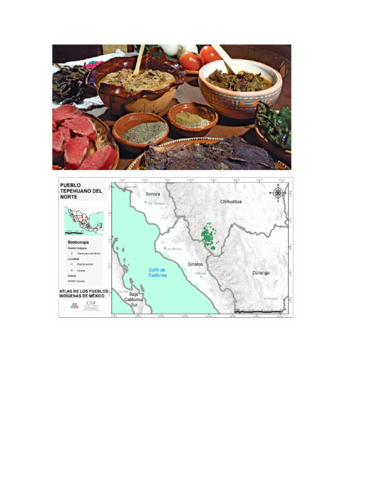 Tepehuanes | PDF