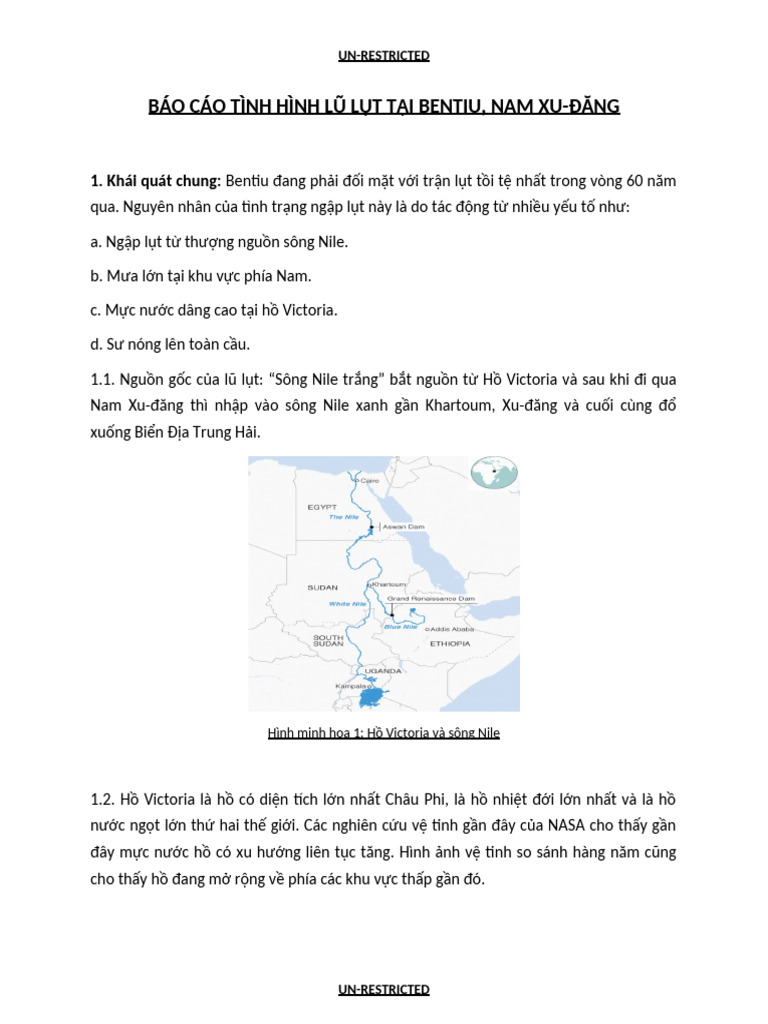 Flood Report in Bentiu South Sudan - VN | PDF