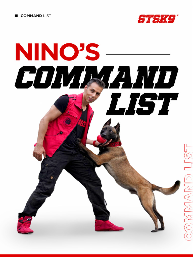 STSK9 Command List | PDF