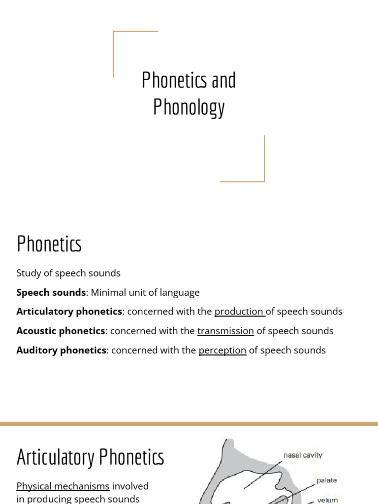 3_Phonetics and Phonology | PDF | Phonetics | Syllable
