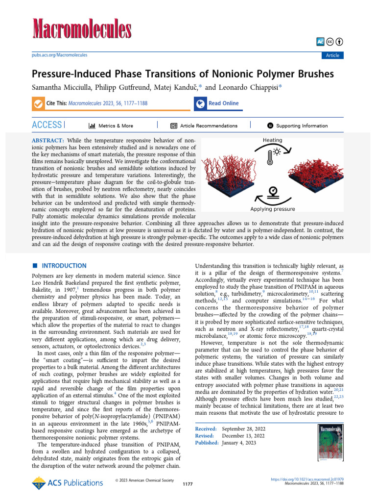 Micciulla Et Al 2023 Pressure Induced Phase Transitions of Nonionic Polymer Brushes | PDF ...