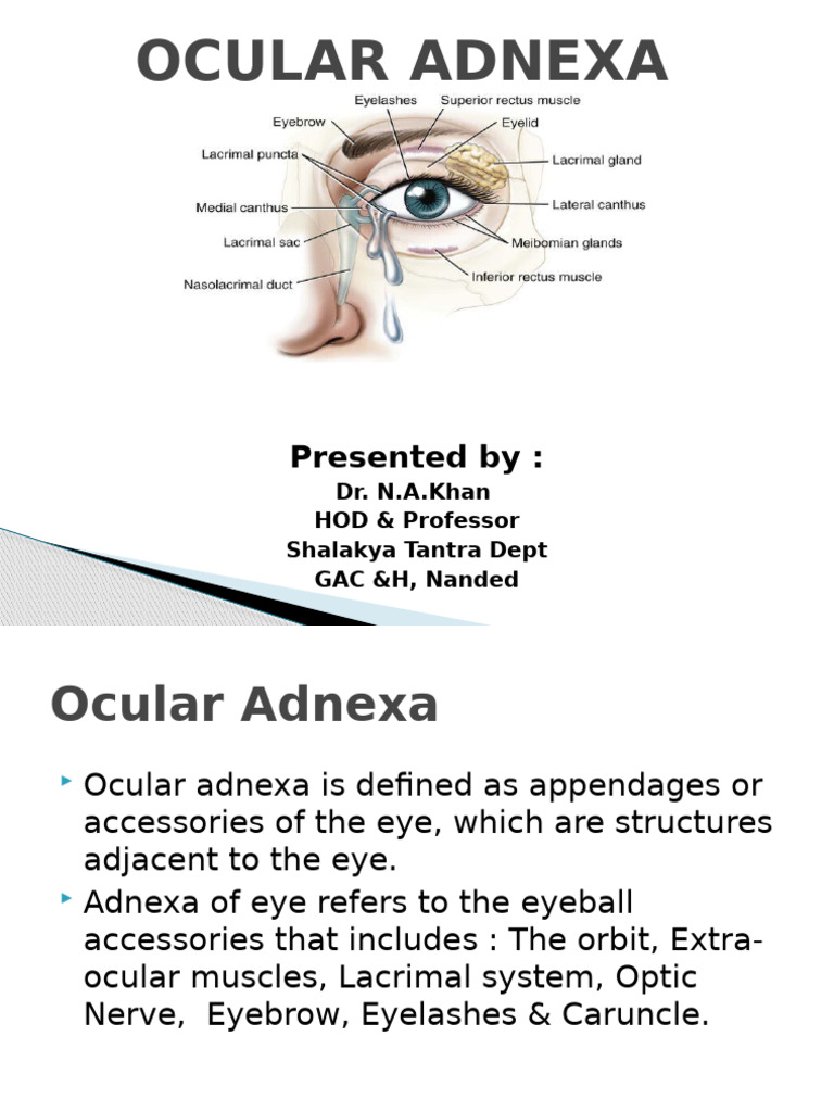 Ocular Adnexa 123 | PDF