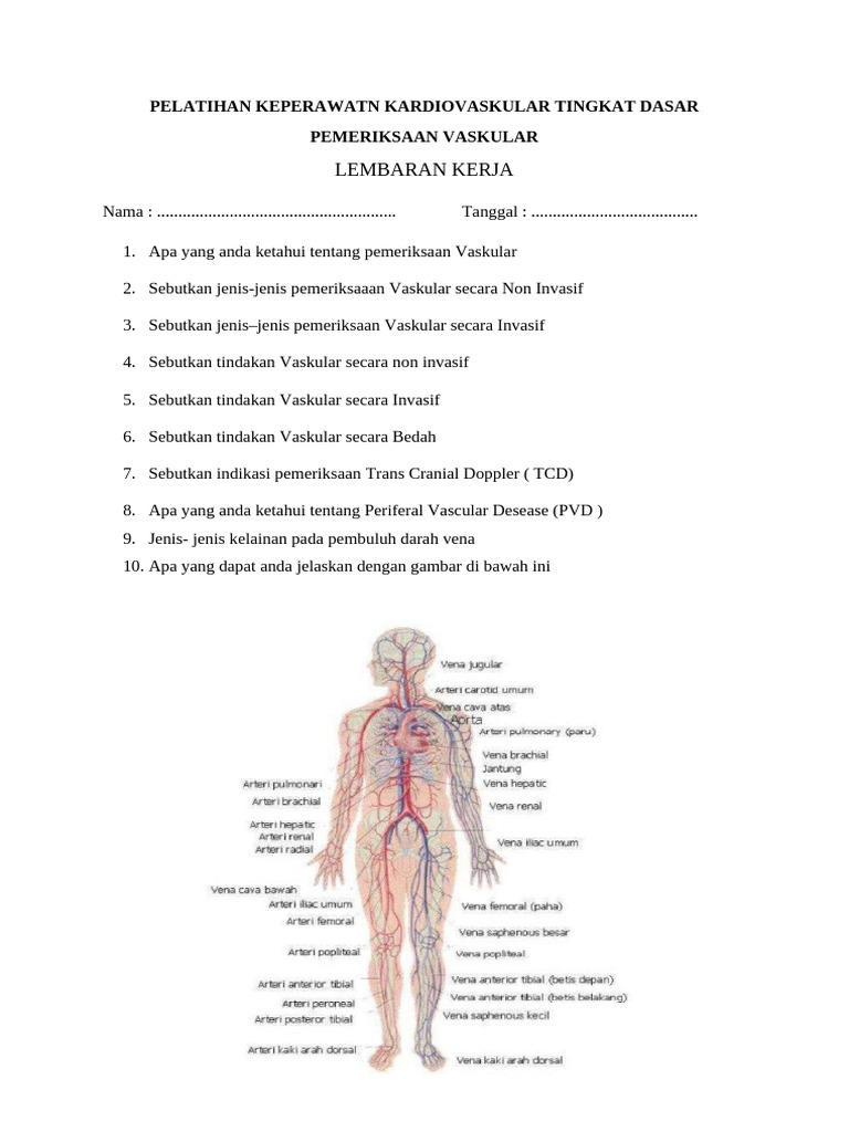 Lambaran Kerja Pemeriksaan Vaskular | PDF
