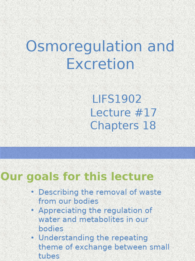 1902_Osmoregulation & Excretion I '17 | PDF | Kidney | Organ (Anatomy)