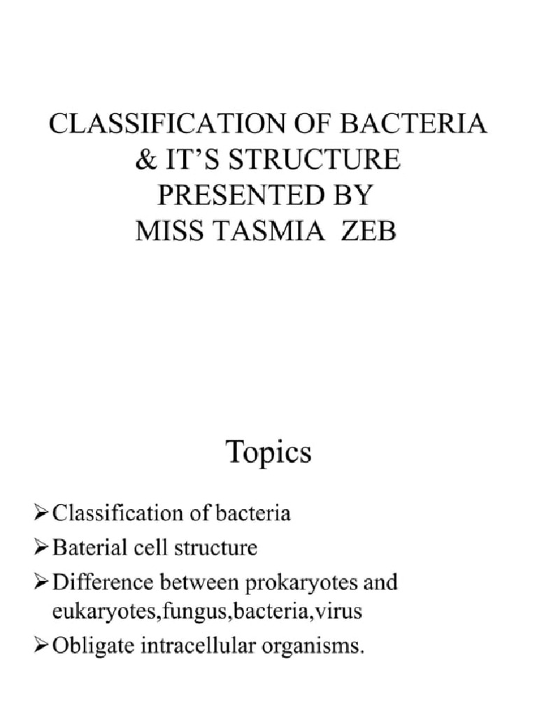 Classification of Bacteria 238481023 238481023 | PDF