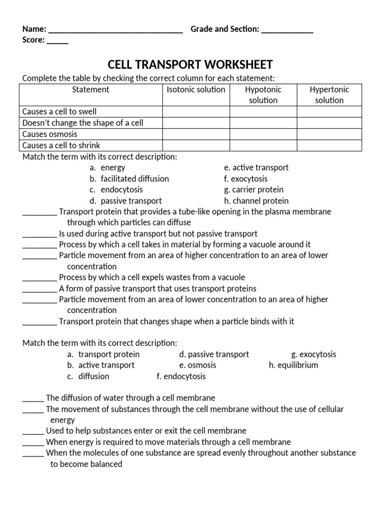 Cell Transport Worksheet | PDF | Osmosis | Biotechnology