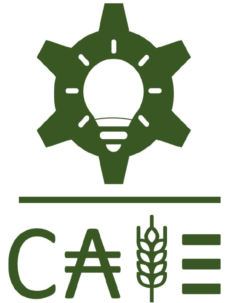 CAIE Logo Sticker | PDF