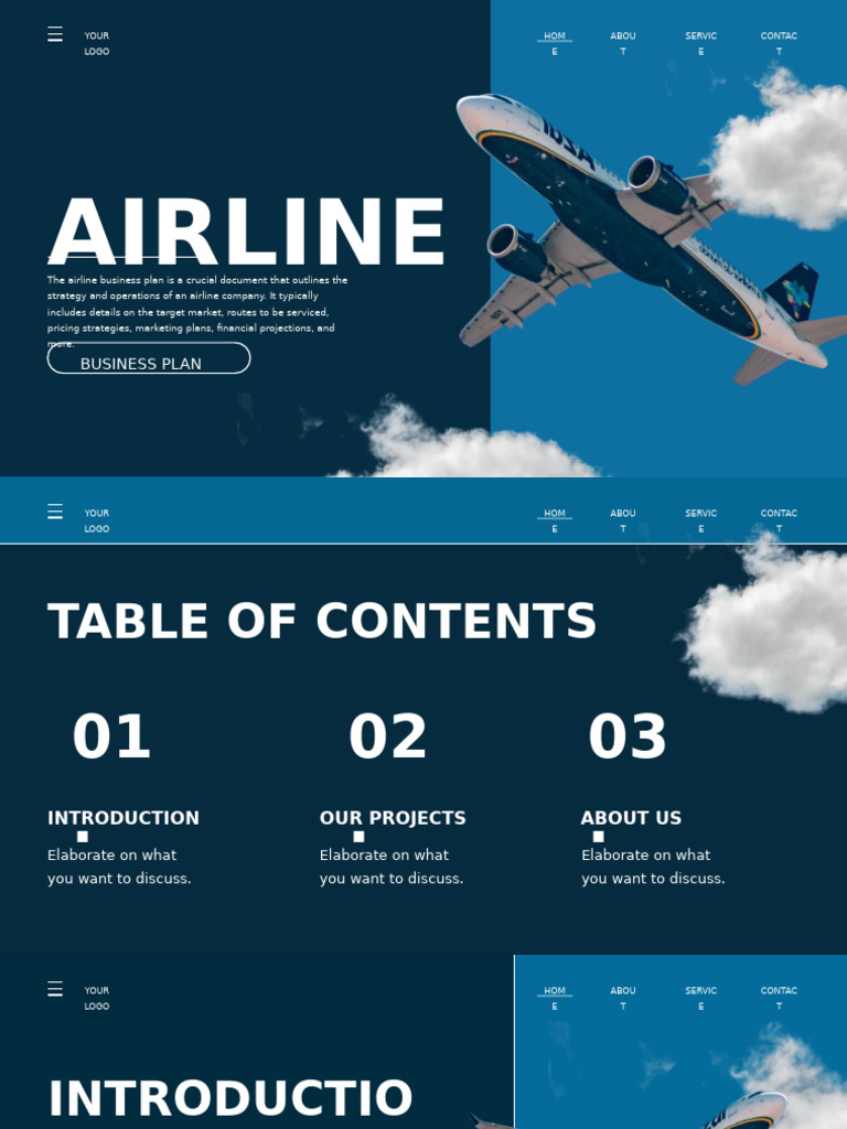 Airline Business Plan Overview | PDF