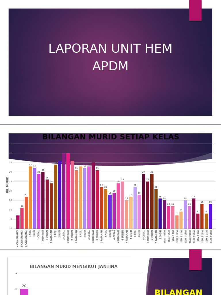 Laporan Unit APDM 2024 | PDF