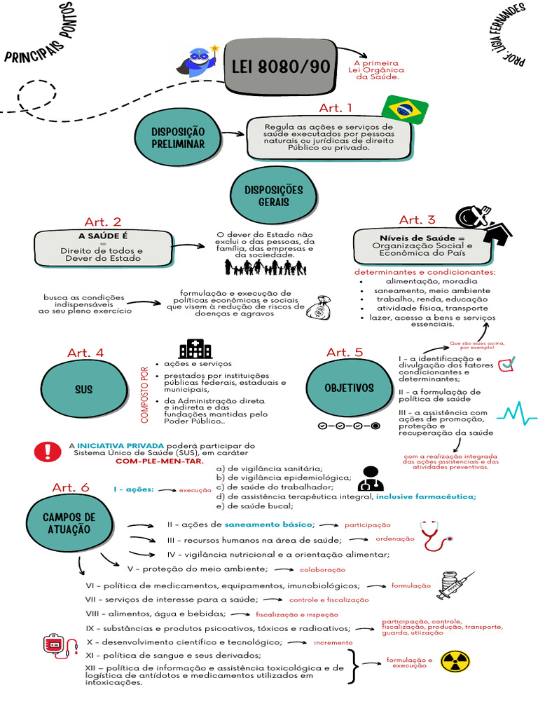 Mapa Mental da Lei 8080/90 e Saneamento | PDF | Epidemiologia | Setor ...