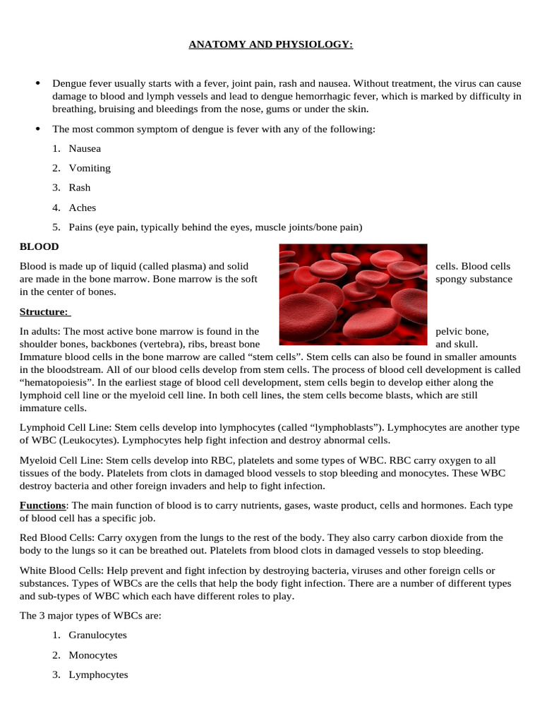 Anatomy and Physiology - Cadungog | PDF | Lymphatic System | White ...