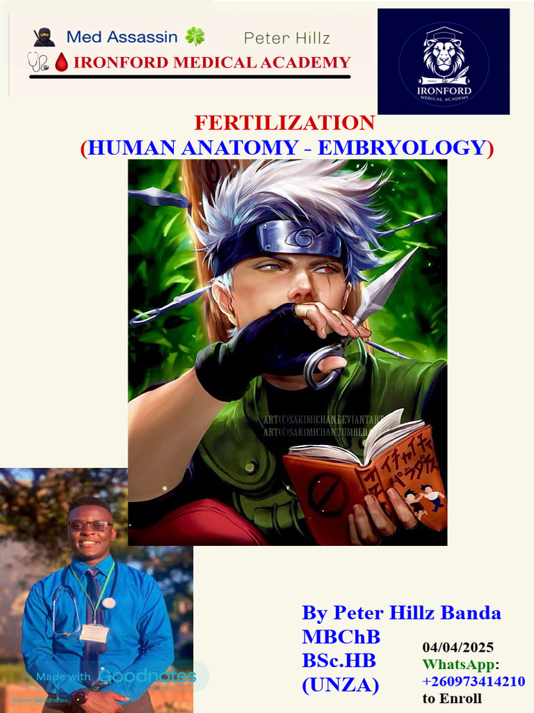 Unbroken Key - Fertilization - Slide Presentation. | PDF | Menstrual ...