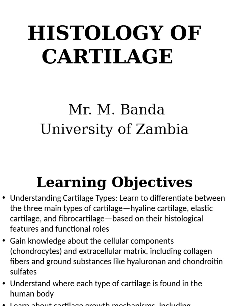 Histology of Cartilage Types Explained | PDF | Cartilage ...
